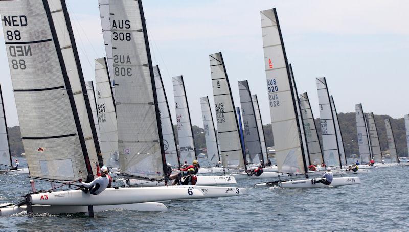 Australian A-Cat Nationals at Wangi RSL Amateur Sailing Club Day 3