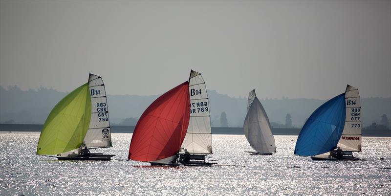 B14 Inland Championship at Datchet Water Sailing Club - Preview