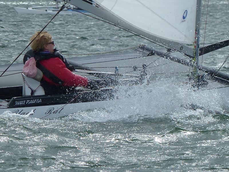 Challenger Open at Oxford Sailing Club