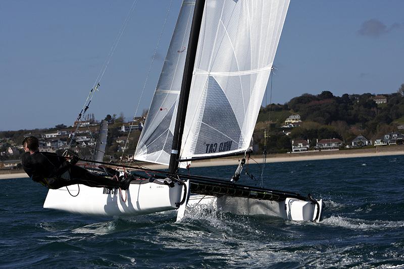 Hobie Tigers and Hobie Wildcat at the Connex Spring Regatta