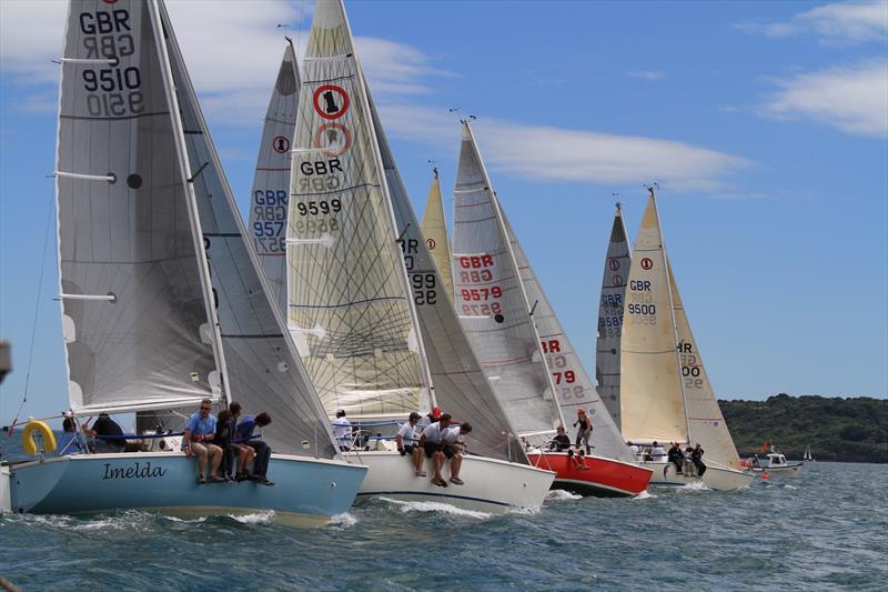 Impala National Championship at Brixham Yacht Club