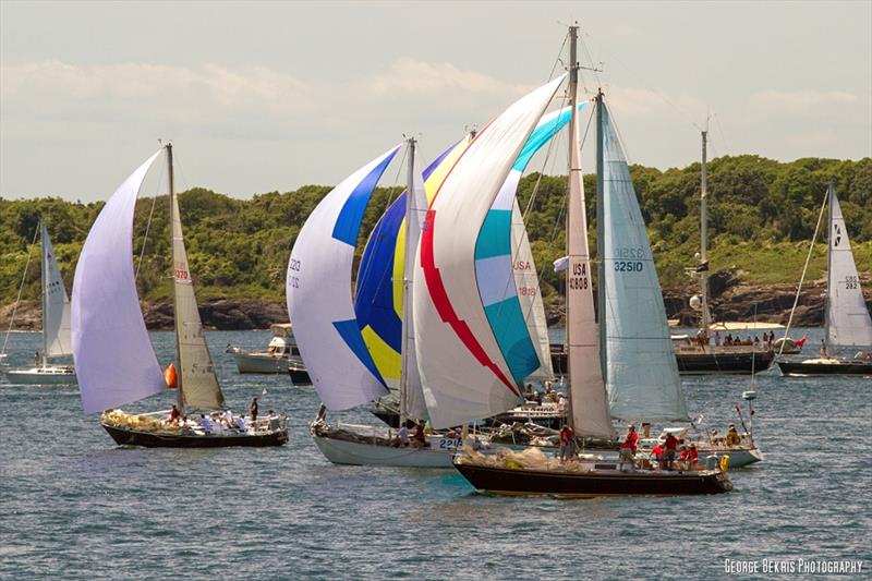 Newport Bermuda Race Facts