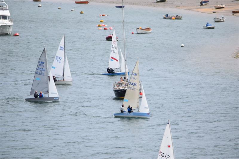 Larks at the Salcombe Regatta