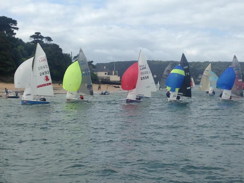 Larks at te Salcombe Gin 124th Salcombe Yacht Club Annual Regatta