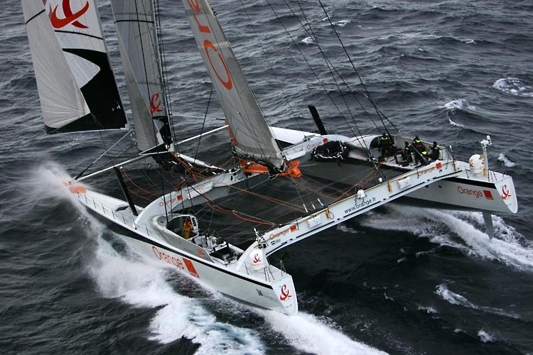 New Transmed record for Orange II