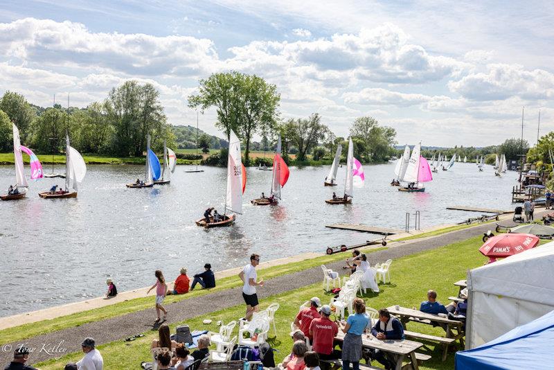 Merlin Rocket River Championships 2024 at Upper Thames Sailing Club