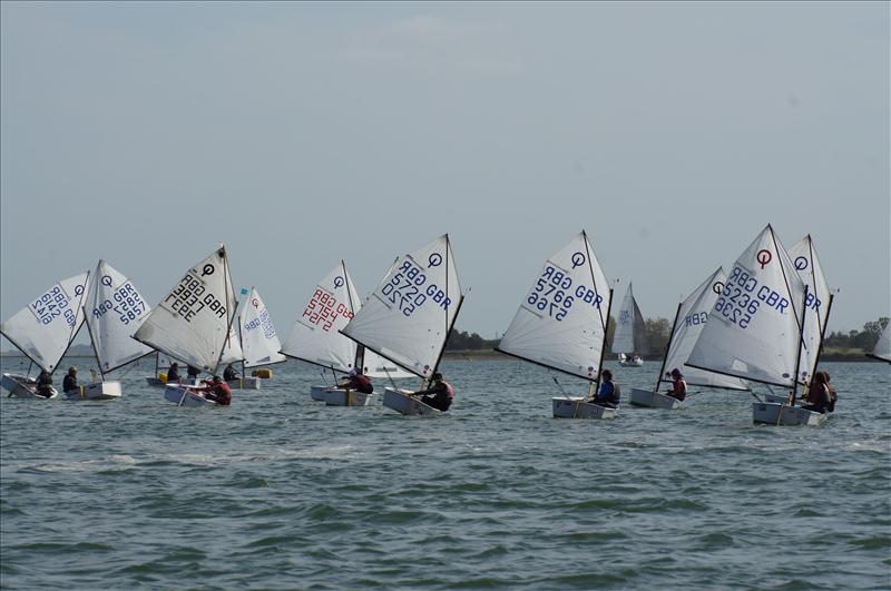 Optimist Open at Blackwater Sailing Club