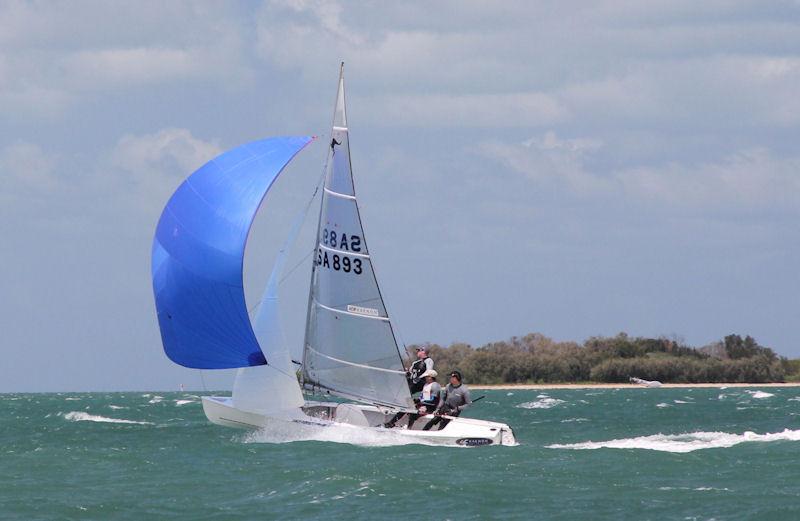 Australian Sharpie Championships at Queensland - Day 3