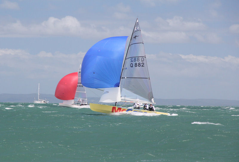 Australian Sharpie Championships at Queensland - Day 5