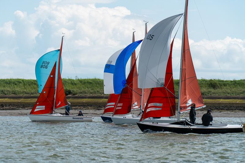 Squib East Coast Championship 2024 at the Royal Corinthian Yacht Club ...