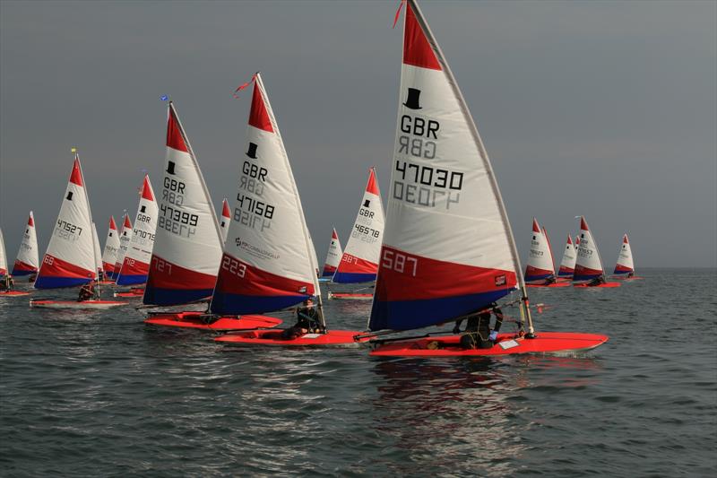 CraftInsure Topper National Series 4 at Paignton Sailing Club